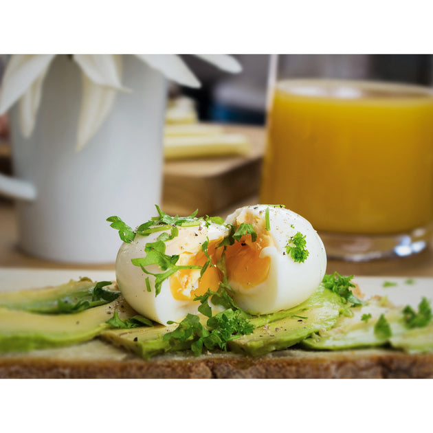 Brainstream Bear Beepegg Singing And Floating Egg Timer For Boiled Eggs | ShopSimon