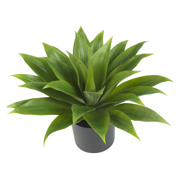 HomPlanti 25" Agave w/Plastic Pot | ShopSimon