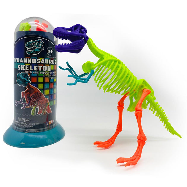 Tedco Toys T-rex Skeleton Tube Puzzle | ShopSimon