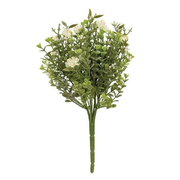 HomeGifo Eden's Gate Bush | ShopSimon