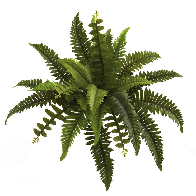 HomPlanti Boston Fern Artificial Plant (Set of 6) 14" | ShopSimon